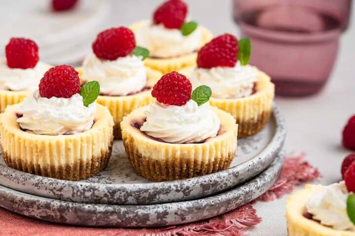 Raspberry Swirl Mini Cheesecakes - The Savory Cipolla
